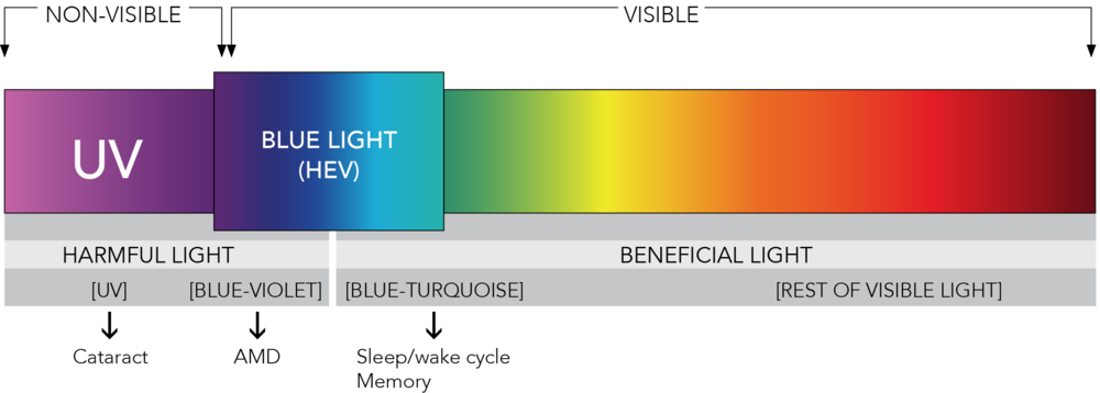 15 Must-Know Secrets about Blue Light - Dreamway | Outdoor & Indoor LED ...